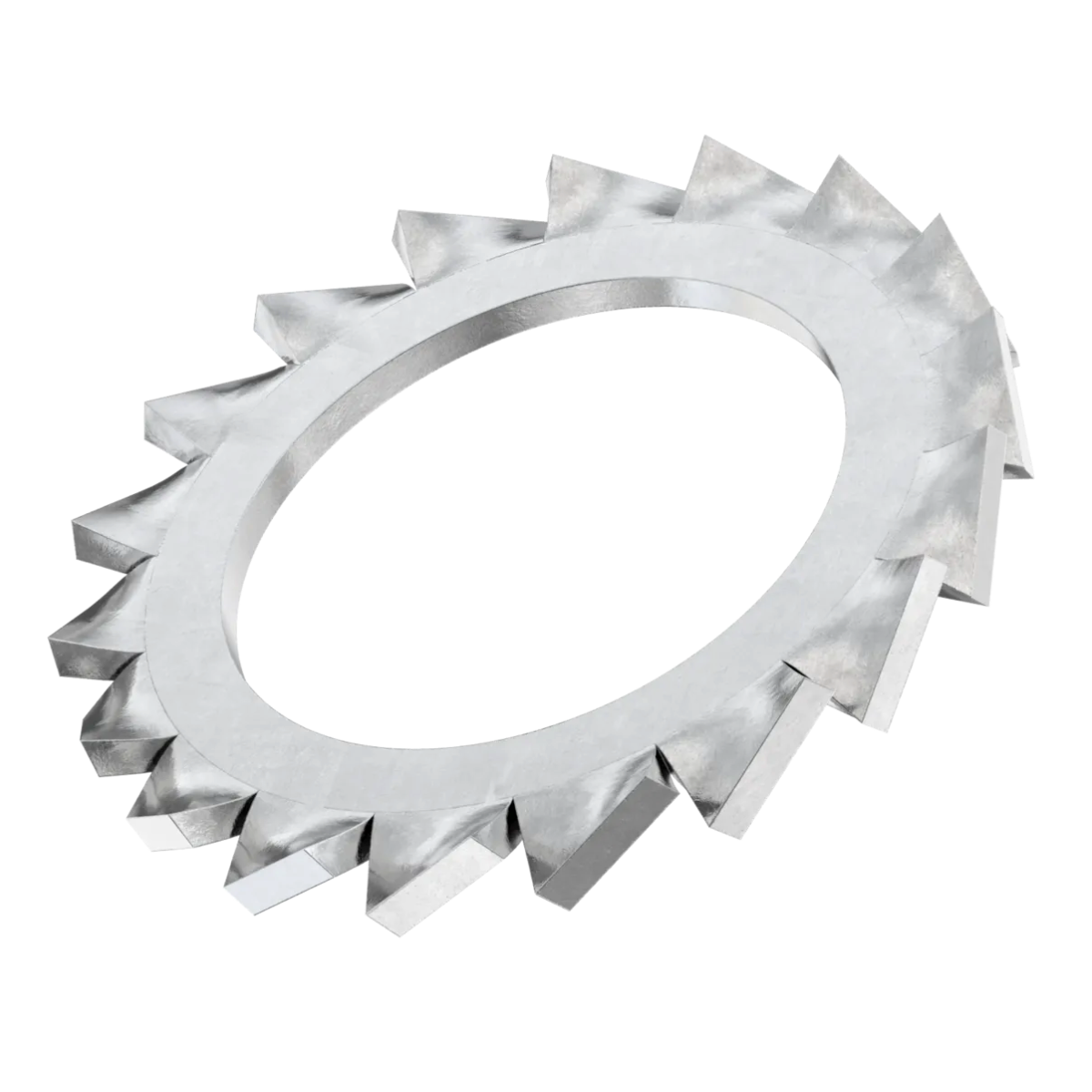 Serrated Washers – The Bolt Factory